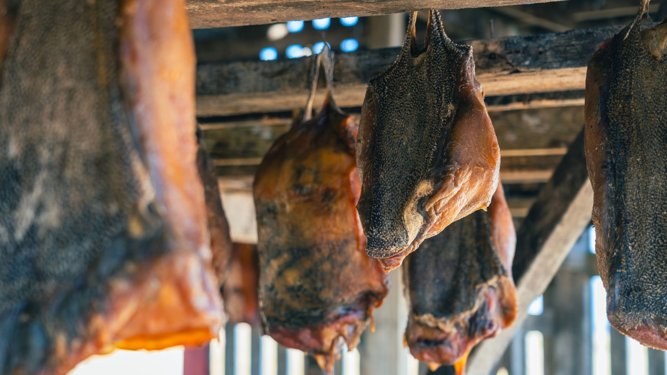 Islandské pivo z velrybích varlat | Cestovinky.cz